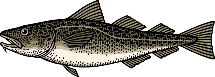 Products – Oceanic Seafoods