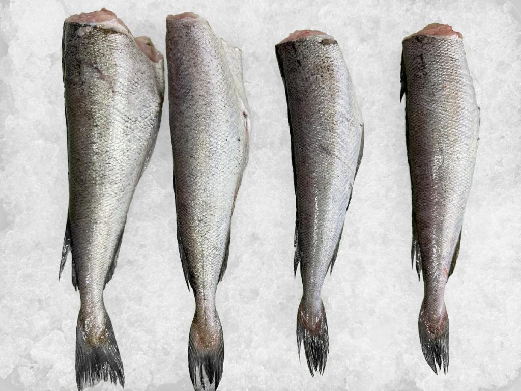 Products – Oceanic Seafoods