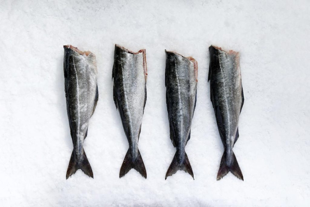 Products – Oceanic Seafoods