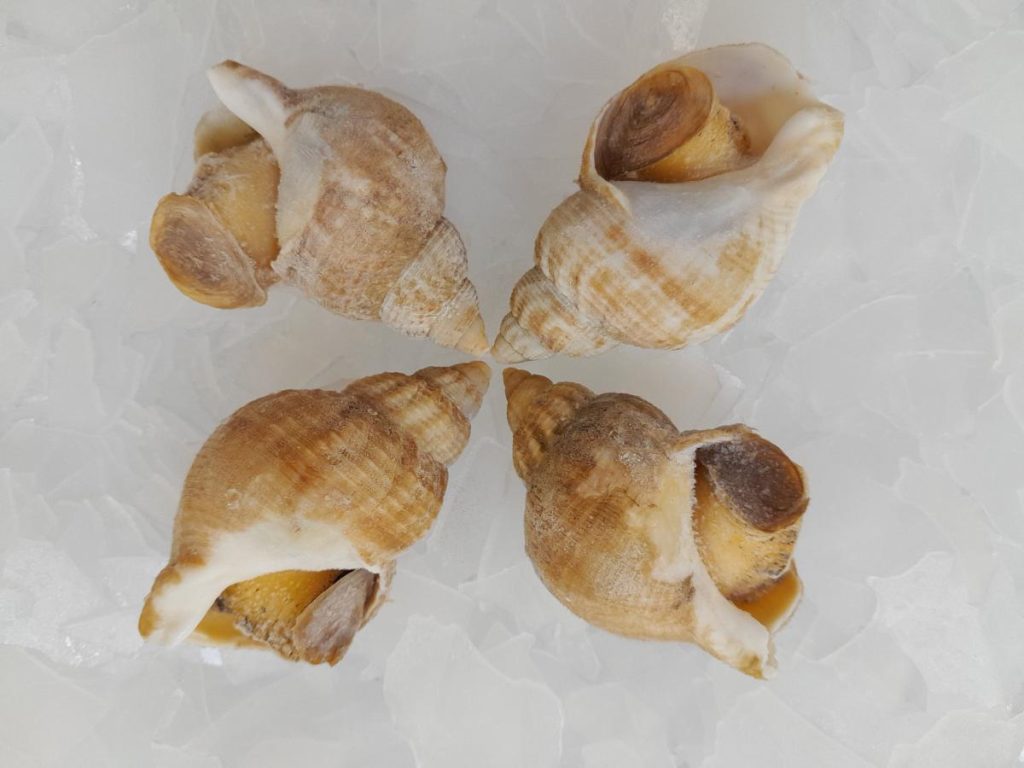 Products – Oceanic Seafoods